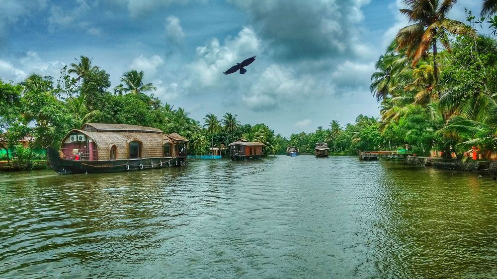 Alleppey Travel Guide: Venice Of The East | Zee Zest