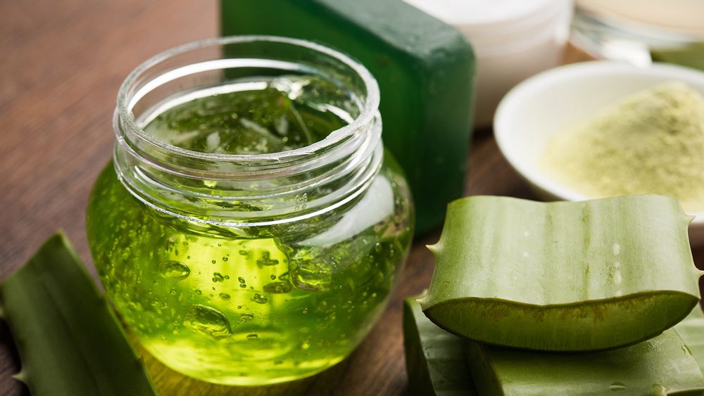 Five Aloe Vera Skincare Brands| Zee Zest
