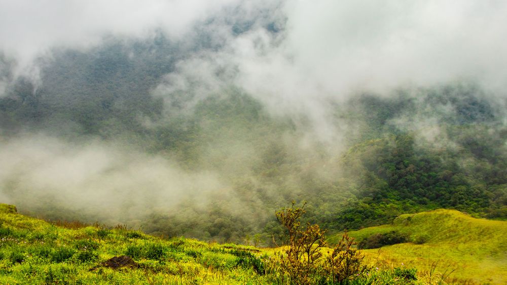 6 Hill Stations With Airports Nearby To Beat The Heat | Zee Zest