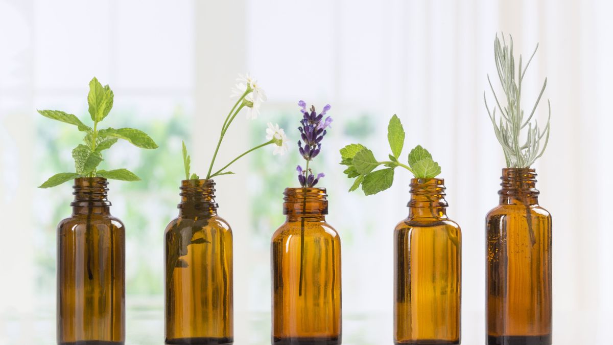 Oils For Hair Growth: 6 Essential Potions | Zee Zest