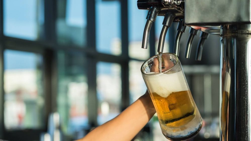 5 Interesting Alcohol-Based Experiences In Goa | Zee Zest