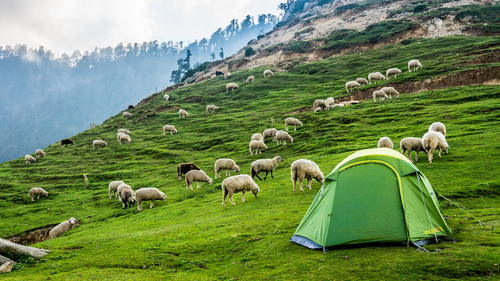 7 Must-Visit Places In Kangra Valley, Himachal Pradesh | Zee Zest