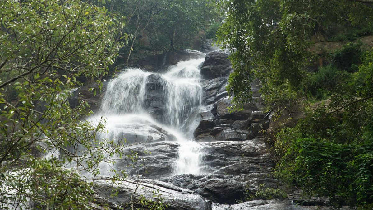 Here's How To Plan A Quick Trip To Kiliyur Falls | Zee Zest