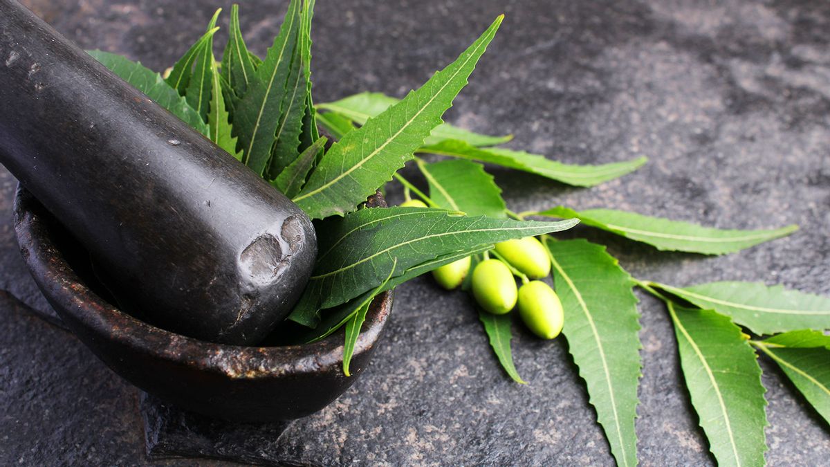 Benefits Of Neem In Monsoon| Zee Zest