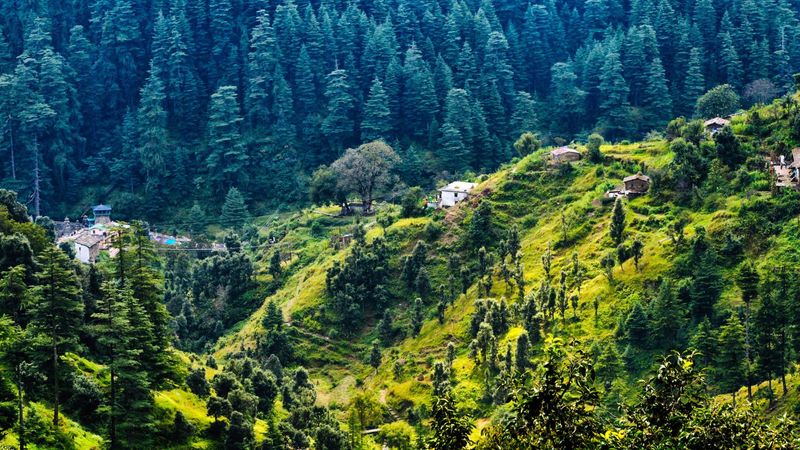 Places Worth Visiting & Things To Do In Ranikhet | Zee Zest