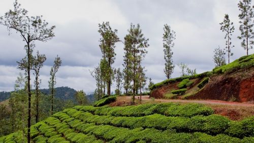 Tourist Places To Visit In Vythiri Over A Weekend | Zee Zest