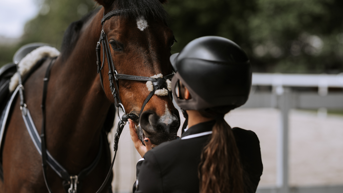 8 Of Best Equestrian Clubs For Horse Riding In India | Zee Zest