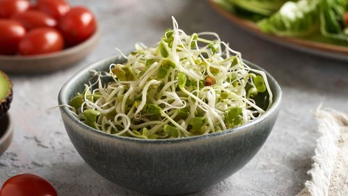Sprouts Health Benefits-Explained
