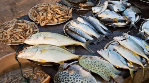 Sustainable Seafood: How To Pick Fresh Fish In All Seasons