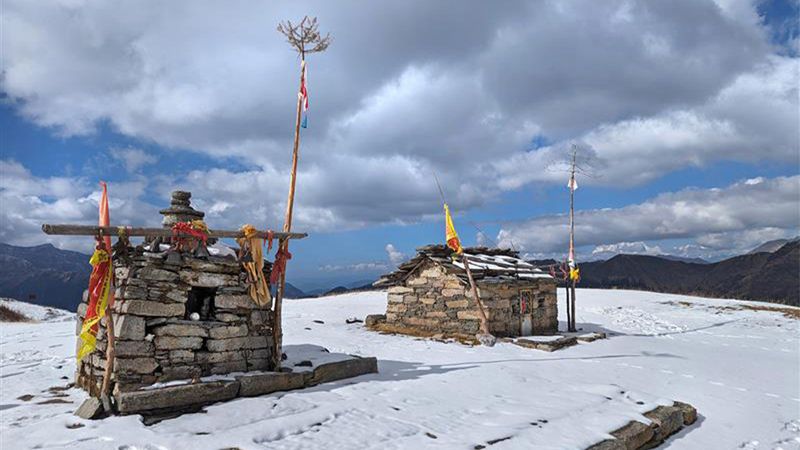 Zee Zest - A Multi-format Food and Lifestyle Platform