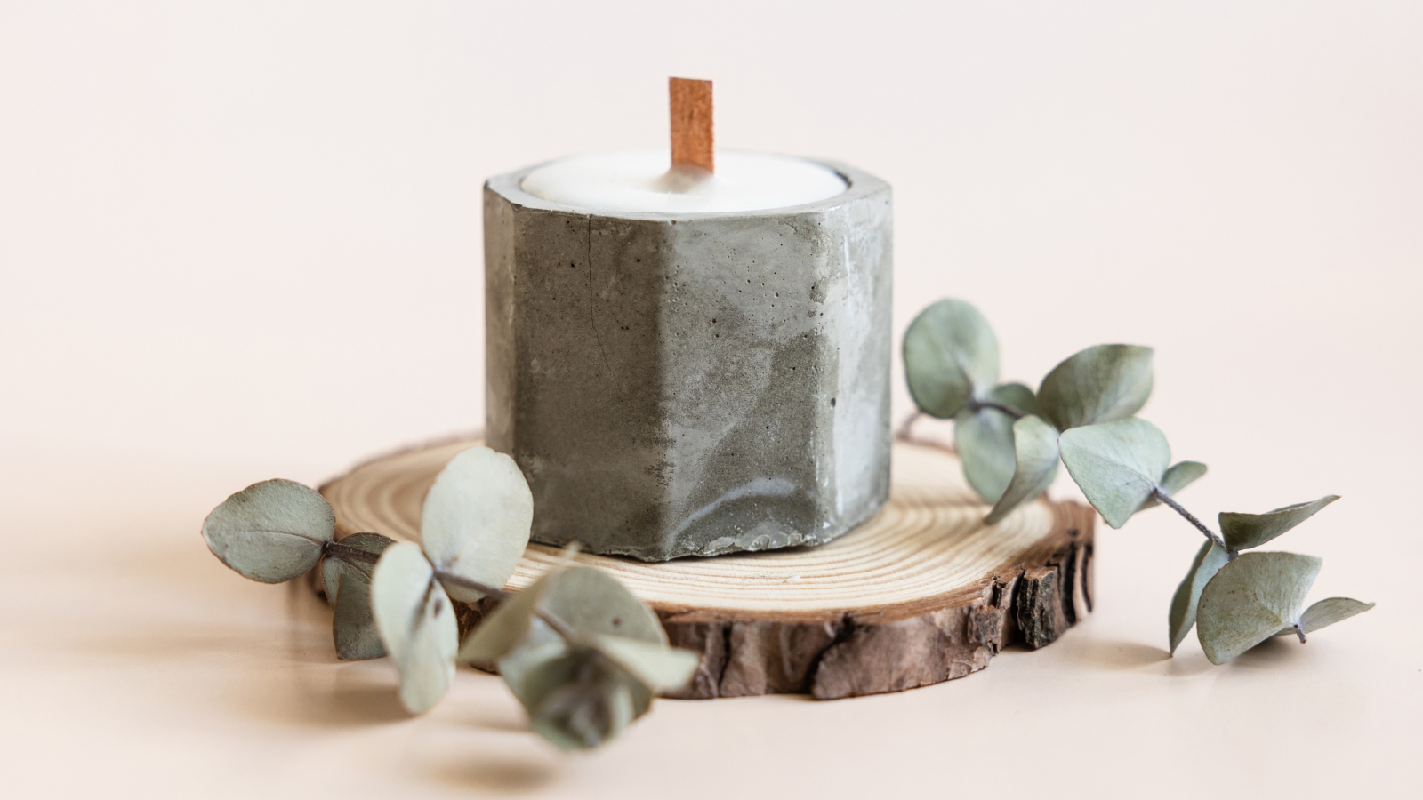 Keep Your Home Smelling Amazing Even During Monsoon | Zee Zest