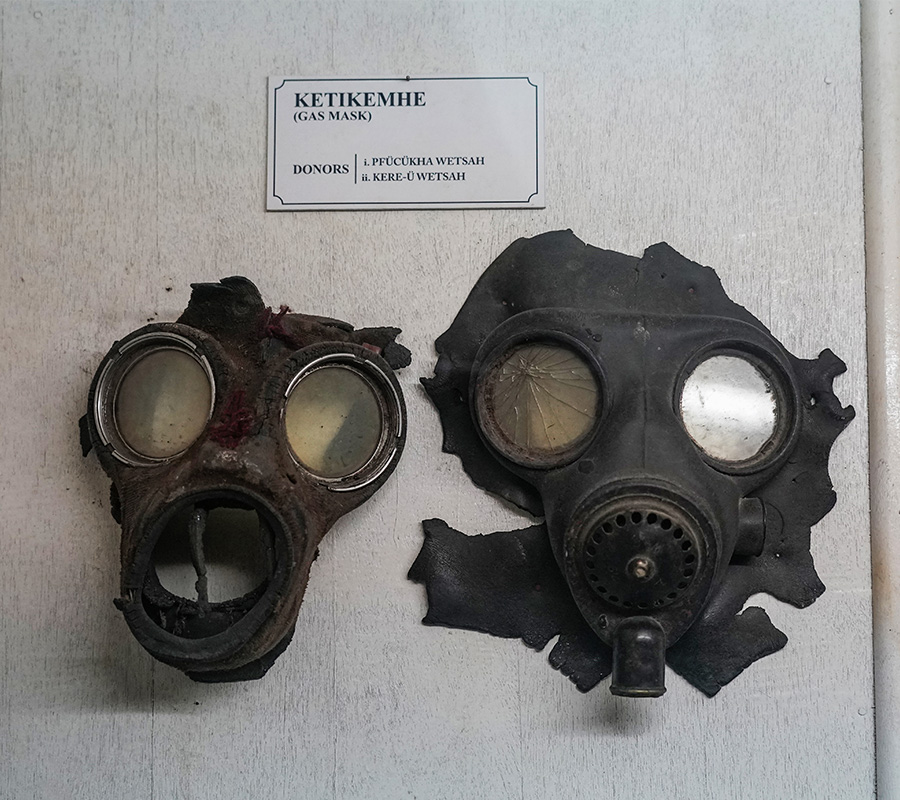 Travel Guide To Visit Zapami Village In Nagaland | Zee Zest