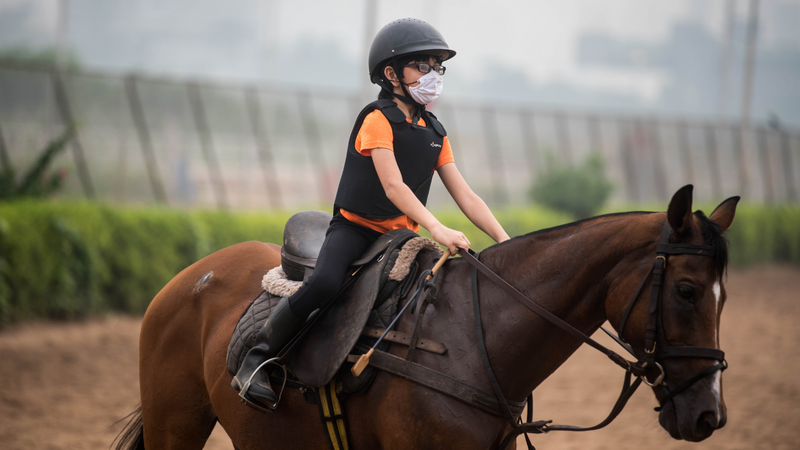 8 Of Best Equestrian Clubs For Horse Riding In India | Zee Zest