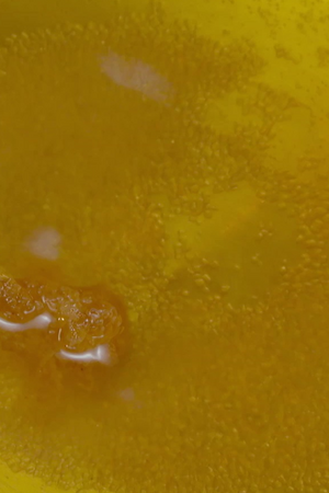 Watch Balish Mishti Recipe By Chef Harpal Singh Sokhi